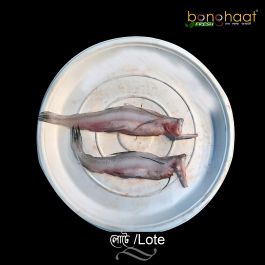 Buy Loite Fish Online from Bong Haat Fresh | Bengali Fish Online ...
