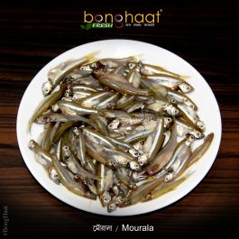 Buy Mourala Fish Online from Bong Haat Fresh | Bengali Fish Online ...